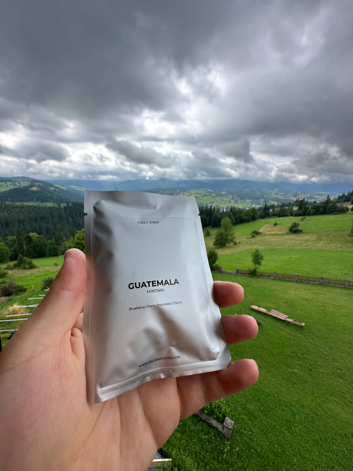 Dual Beans Plan – Holy Drip Coffee